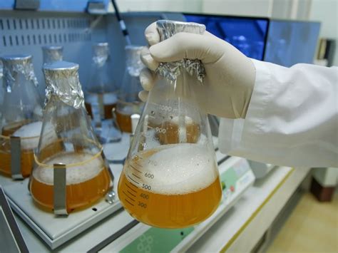 Foam Formation And Control In Shake Flask Bioprocessing