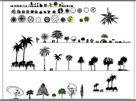 Tree Blocks In AutoCAD CAD Download 3 23 MB Bibliocad