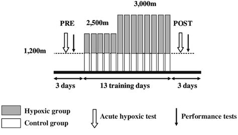 Experimental Design Pre Pre Training Period Post Posttraining Period Download Scientific