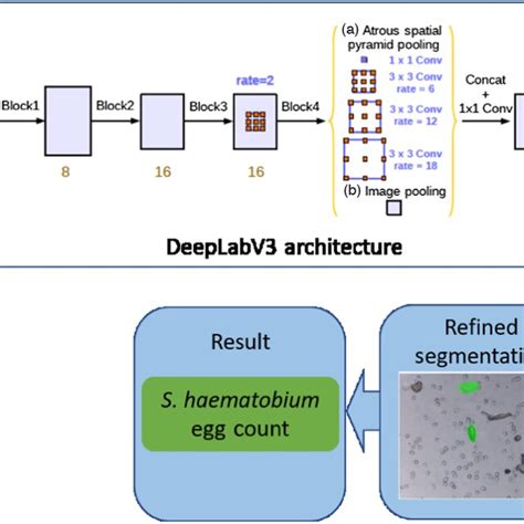 Schematics Of The Proposed Two Stage Diagnosis Framework Urogenital Download Scientific Diagram