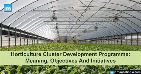 Horticulture Cluster Development Programme Meaning Objectives And