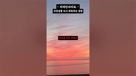 떨어진 자존감을 회복하는 방법 마인드셋 자존감 자기계발 자존감높이는법 노력 성공 동기부여 도전 자존감높이는법 Youtube