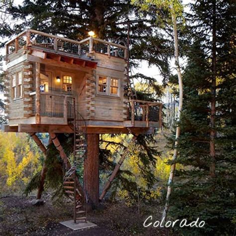 Adult Tree House Outdoor Living Room Cape Cod Boston