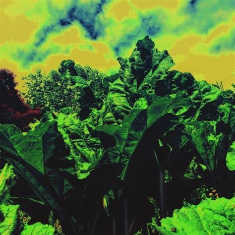 The Box Way To Microservices Kubernetes Devops Gitops And The