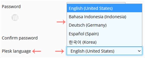 How To Change The Language Of A Plesk Panel Solent Computer And