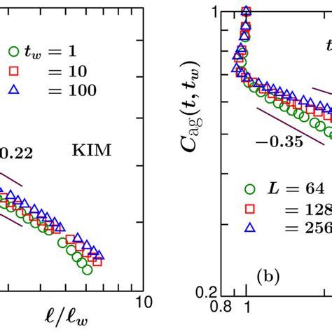A Loglog Plots Of Autocorrelation Function Cagttw For The Kim
