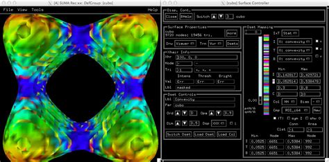 121 Self Guided Demo Scripts — Afni Suma And Fatcat V25203