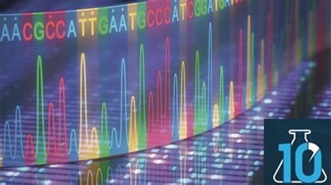 An Overview Of NGS Adapters For Ligation Based Library Preparation Technology Networks
