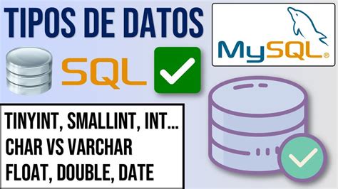 Tipos De Datos En Sql Con Mysql Qué Tipos De Datos Usar En Una Base De Datos Sql Curso Sql