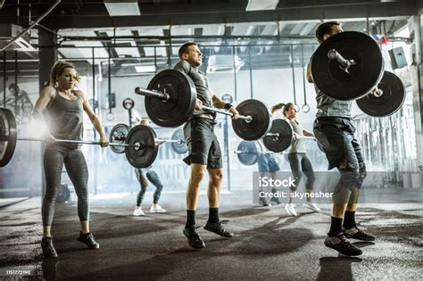 헬스 클럽에서 바 벨과 함께 웨이트 트레이닝을 하는 운동 사람들의 그룹 파워리프팅에 대한 스톡 사진 및 기타 이미지 파워리프팅 건강한 생활방식 교차 훈련법 Istock