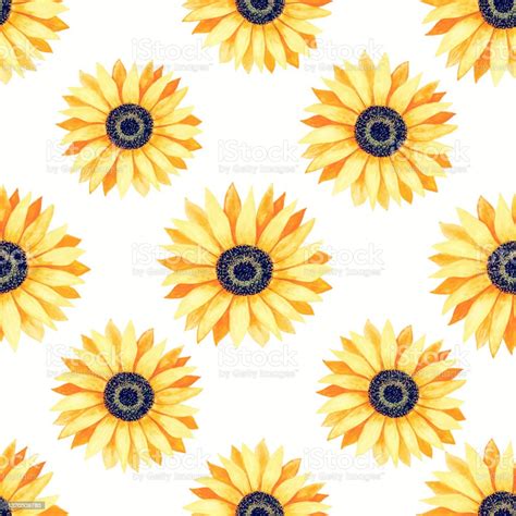 노란 꽃 해바라기의 손으로 그려진 매끄러운 패턴 밝은 화창한 꽃 디자인 카드 초대장 벽지 포장지 직물장식 다채로운 가을 수채화 일러스트 10월에 대한 스톡 벡터 아트 및