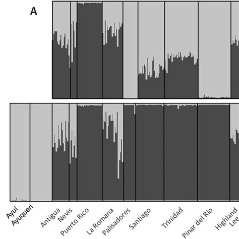 Ancestry Estimation Based On The Bayesian Clustering Method Structure Download Scientific