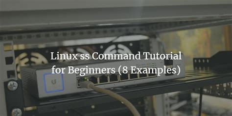 Linux Ss Command Tutorial For Beginners 8 Examples