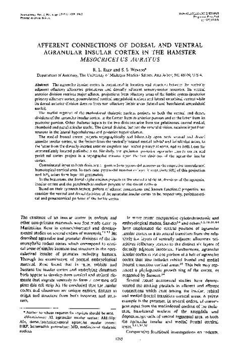 Pdf Afferent Connections Of Dorsal And Ventral Agranular Insular