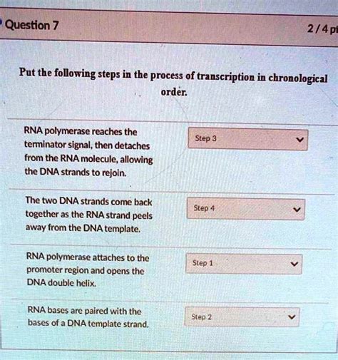 SOLVED Question P Put The Following Steps In The Process Of