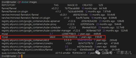 Docker环境下MySQL 升级 实践 墨天轮