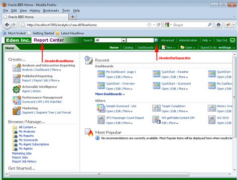 Creating And Developing Custom Styles Skins And Messages In Oracle Bi