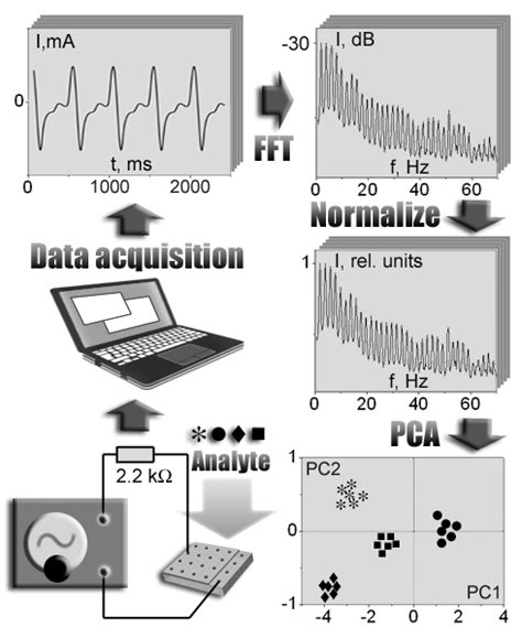 Scheme Of The Experimental Procedure Download Scientific Diagram
