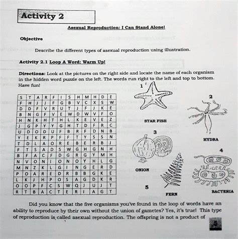 Activity 2asexual Reproduction I Can Stand Alonelobjectivedescribe The