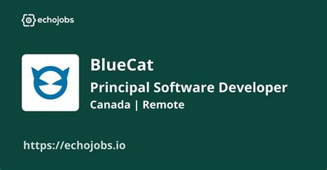 Bluecat Is Hiring Principal Software Developer Remote Canada Rust Java Microservices Rrustjob