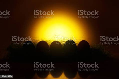 행 다채로운 파스텔 모노 전통적인 그린된 부활절 달걀 검은 그림자 실루엣 빛 반사와 함께 어두운 노란색 배경에 녹색 잔디입니다 광고에 대 한 공간을 복사 합니다 텍스트에 대