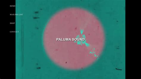 z index for submit button text box html css the freecodecamp forum