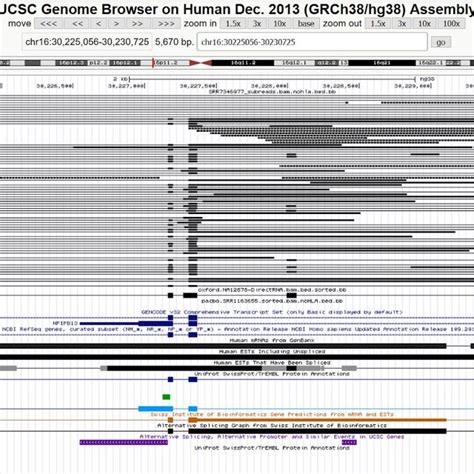 b novel transcript predicted region on skbr3 pacbio download