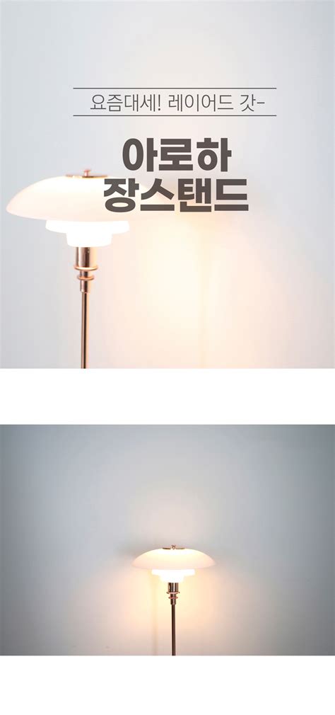 장스탠드 아로하 북유럽 조명 플로어 스탠드 거실 침실 장스탠드 3colors 오늘의집 쇼핑