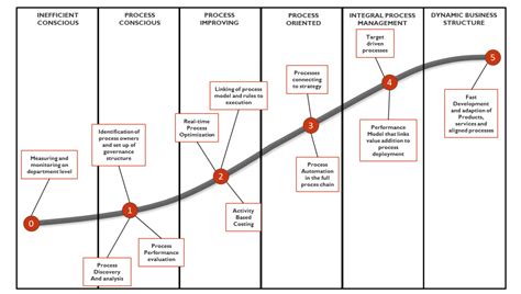 business process management you get