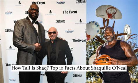 How Tall Is Shaq Shaquille Oneals Height And Shoe Size