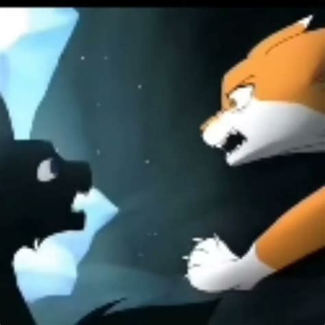 🗡Кленовница 🗡 Коты Воители Кленовница Youtube