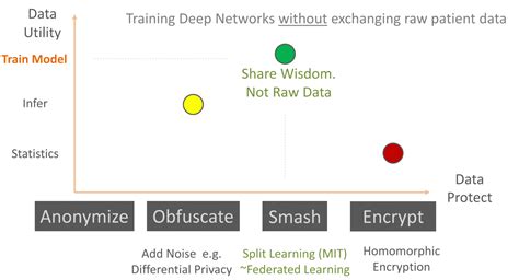 Split Learning And Inference