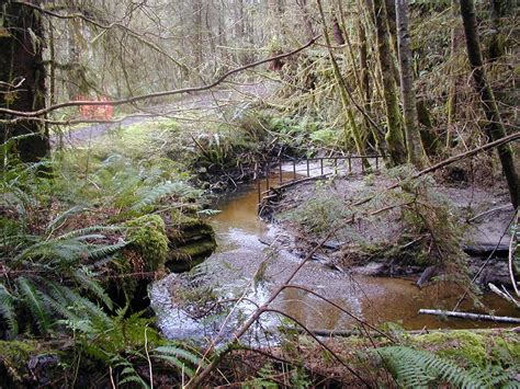Restoring The Waterflow Redwood National And State Parks Us
