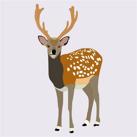 Premium Vector A Beautiful Deer Vector Artwork