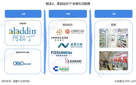 【干货】基因治疗行业产业链全景梳理及区域热力地图资讯前瞻经济学人