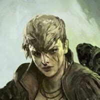 Dslily Path Of Exile 2 Builds And Guides Mobalytics