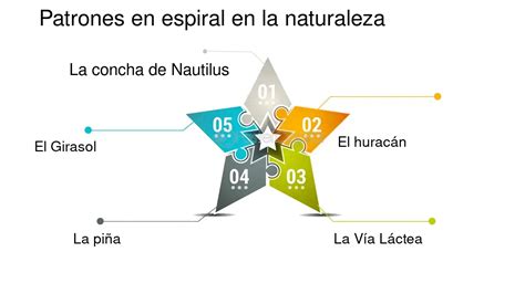 Secuencia De Fibonacci De Piña Sucesión De Fibonacci Wikipedia La