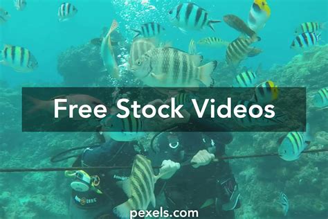 Pornothailand Videos Download The Best Free 4k Stock Video Footage