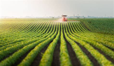 Why Do Farmers Use Ammonia Fertilizers — Iammgreen