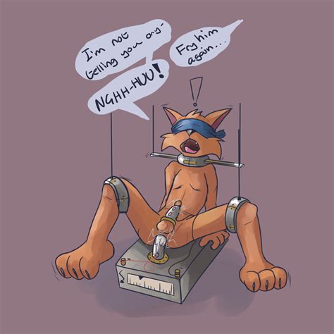 Rule 34 11 2018 Anal Balls Bondage Bound Domestic Cat Electrocution