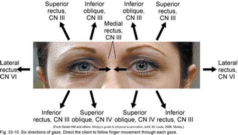 Qs Flashcards Quizlet