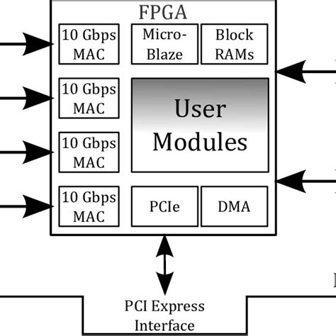 Netfpga 10g Structure Download Scientific Diagram
