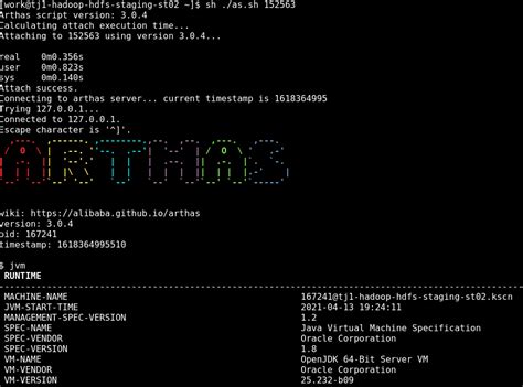 Arthas Command Jvm Cant Show The Right Jvm Version · Issue 1765