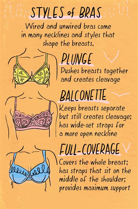 Bra Types For Shapes
