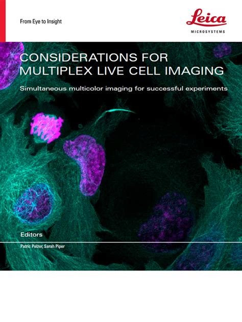 Considerations For Multiplex Live Cell Imaging