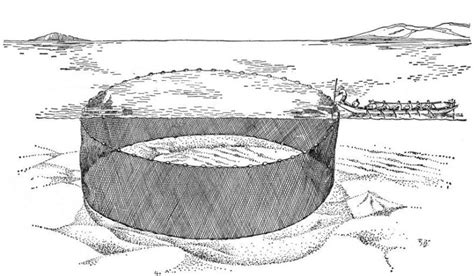 Dictionary Of Ichthyology