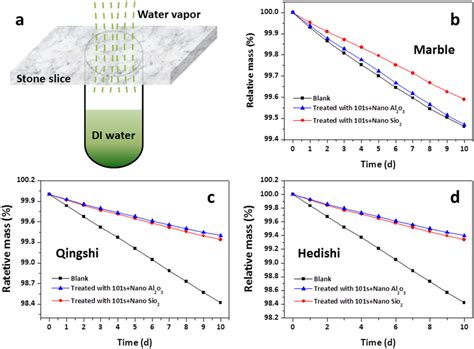 Schematic Diagram Of The Water Vapor Permeability Experiment A And Download Scientific