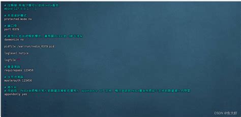 docker搭建redis主从 redis哨兵模式（一主一从俩哨兵） docker 安装redis主从 csdn博客