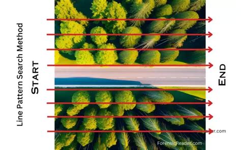 Crime Scene Search Methods And Patterns [use Examples]