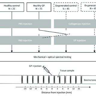 A Study Design And Timeline Of The Main Experiment B Cubes Represent Download Scientific